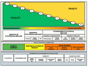 A NEW PROPOSAL FOR THE CLINICAL-FUNCTIONAL CATEGORIZATION OF THE ...
